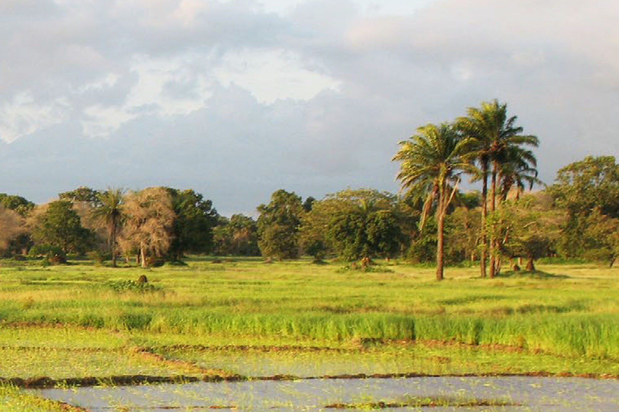 Agriculture, Resilience & Water - Winrock International