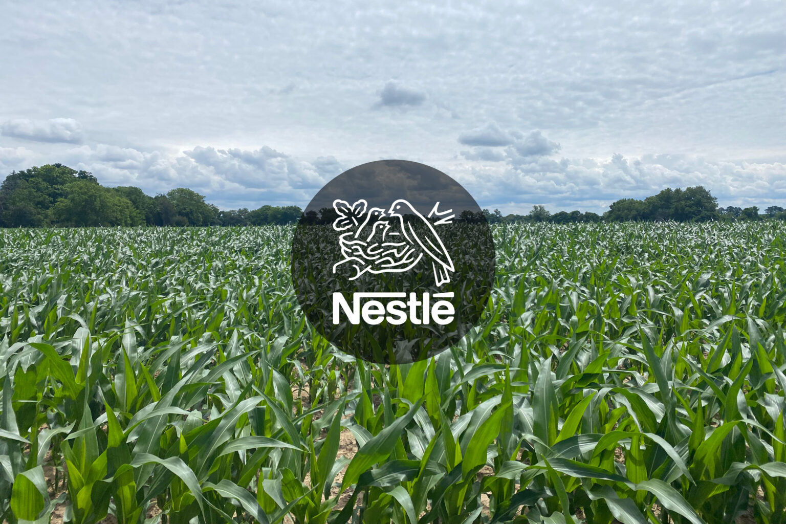 Earthworm Foundation GHG Technical Advisory & Project Validation ...