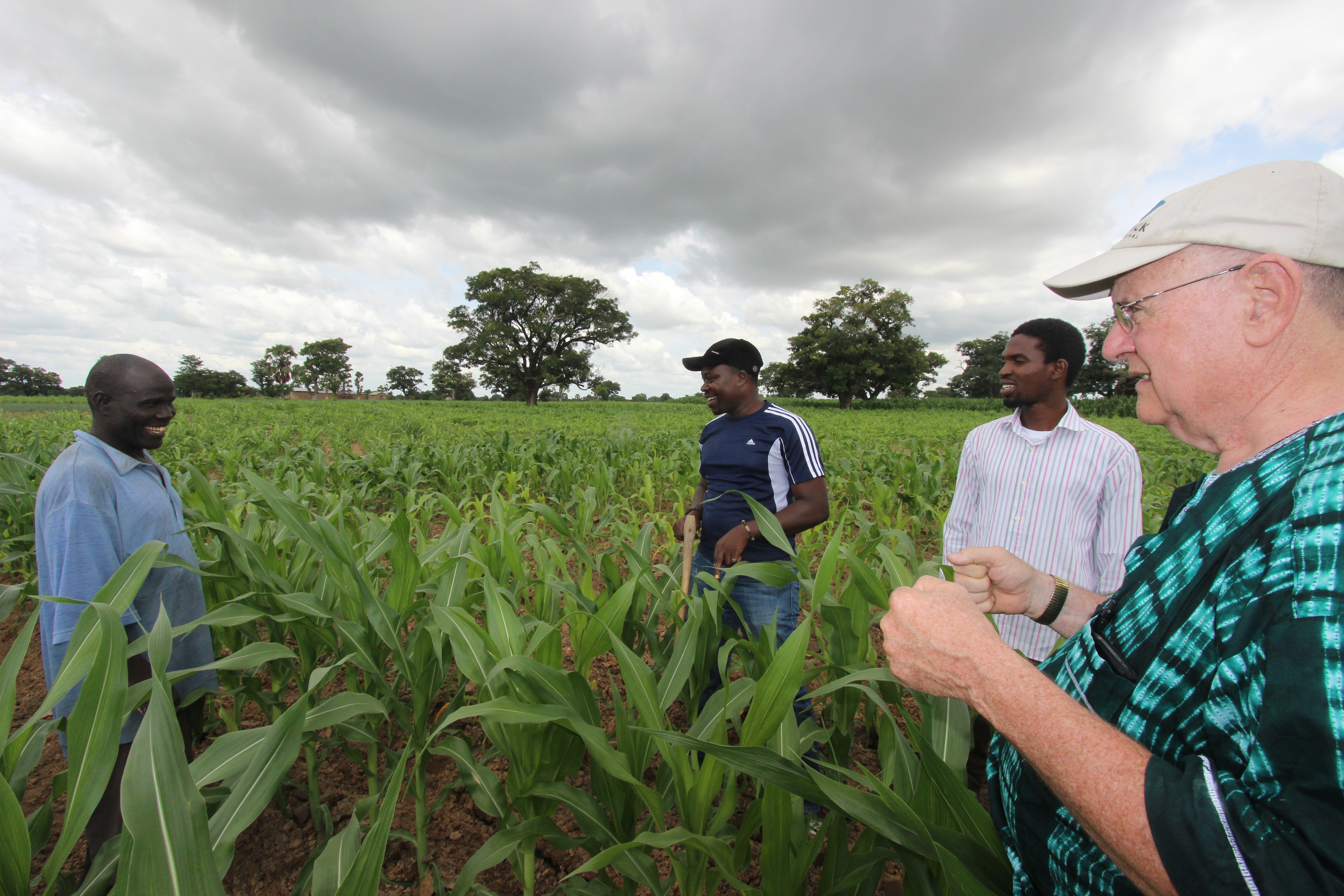 How To Improve Agricultural Extension Services Updated 2022 how-to-improve-agricultural-extension-services-updated-2022