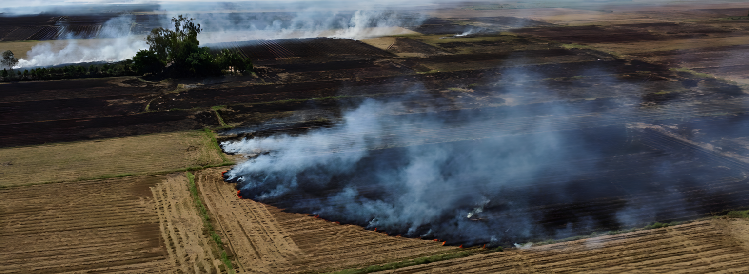 Community partnerships and action to reduce pollution from open burning ...