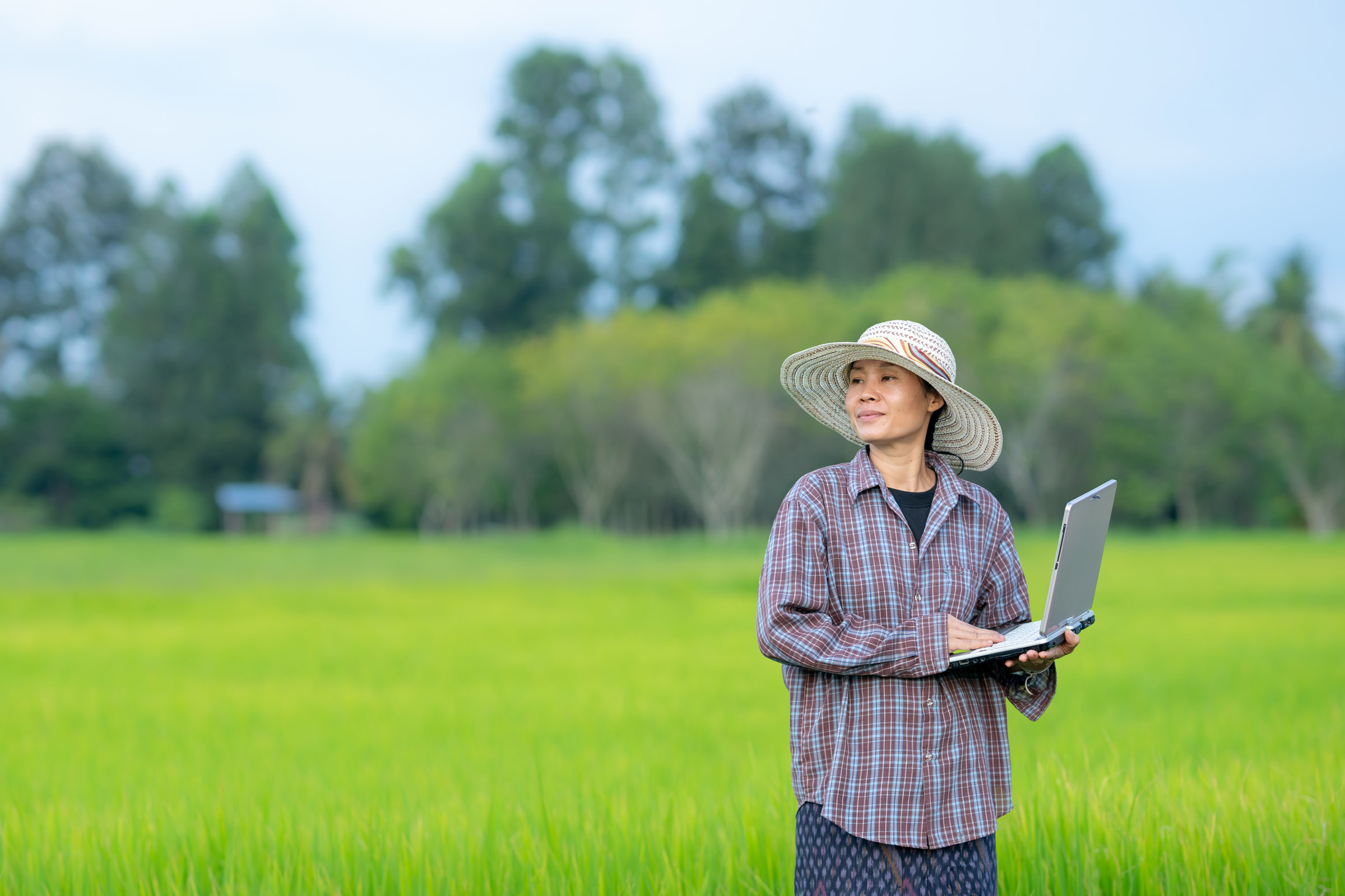 Thailand Regional Agriculture Innovation Network (RAIN) - Winrock ...