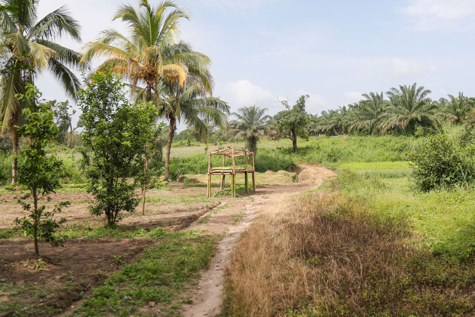 Climate smart agriculture education and training in Guinea - Winrock ...