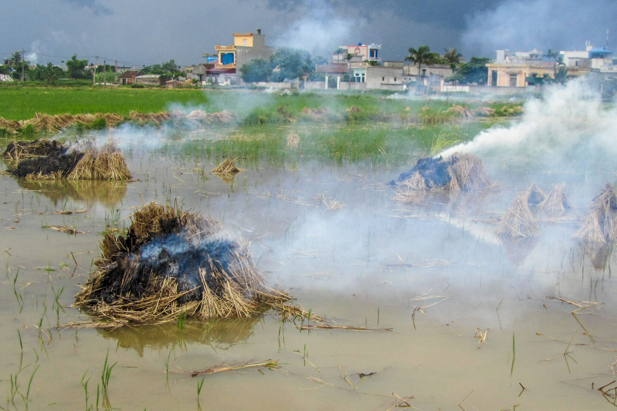 Five ways USAID’s Reducing Pollution project and partners collaborate ...
