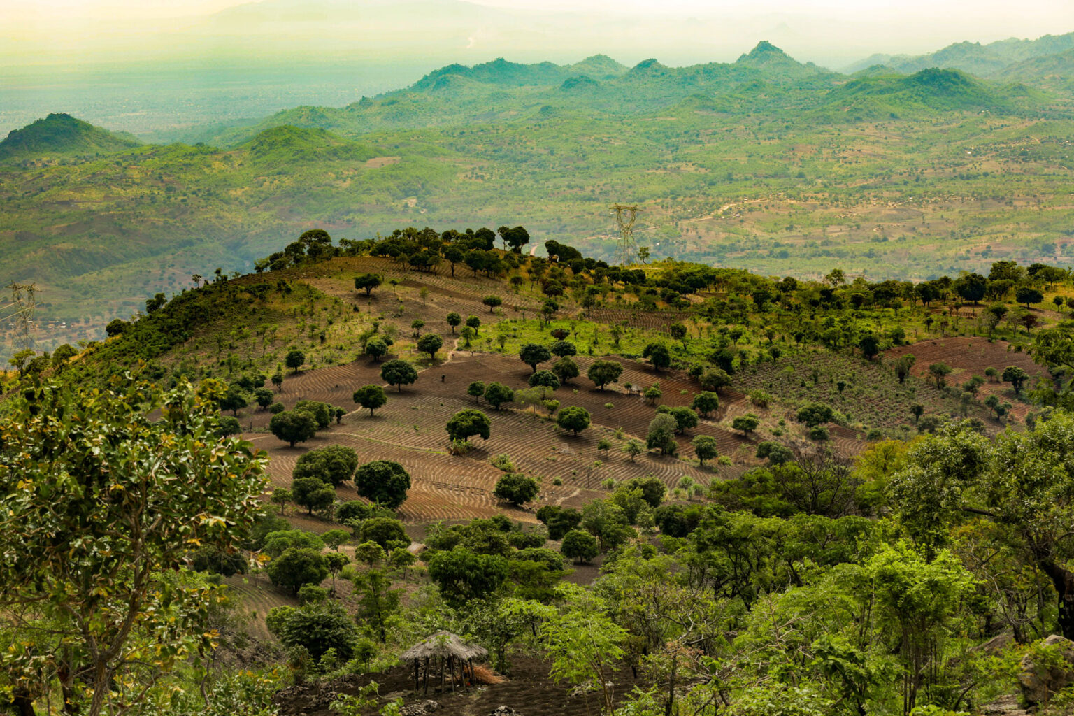 Contact - Winrock International