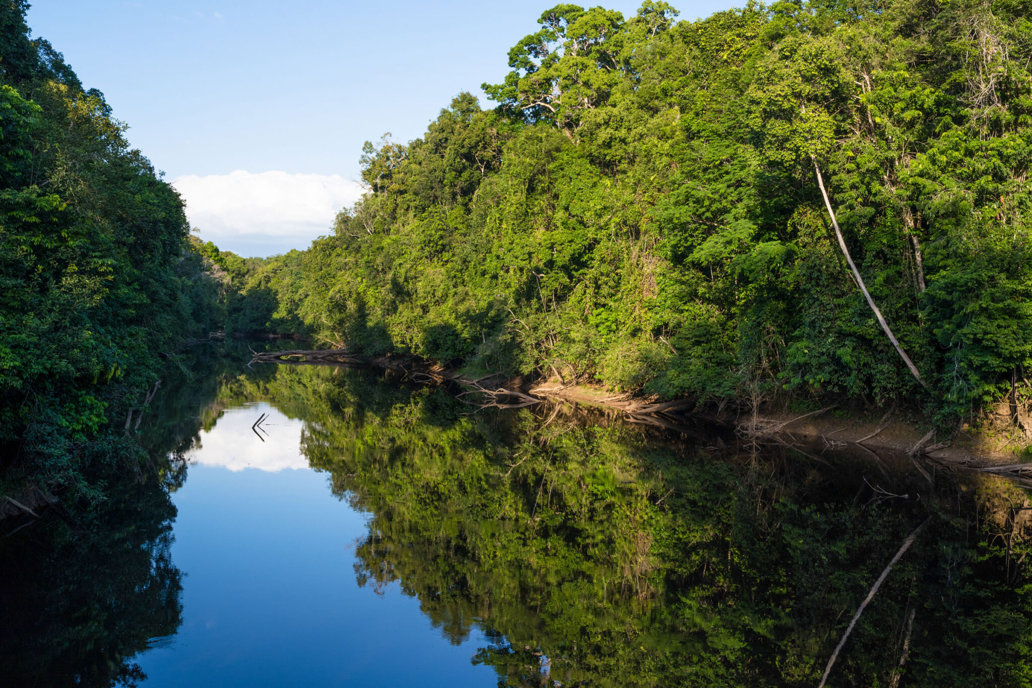Winrock’s ONE-SL Project Highlighted in U.S. Plan to Conserve Global ...