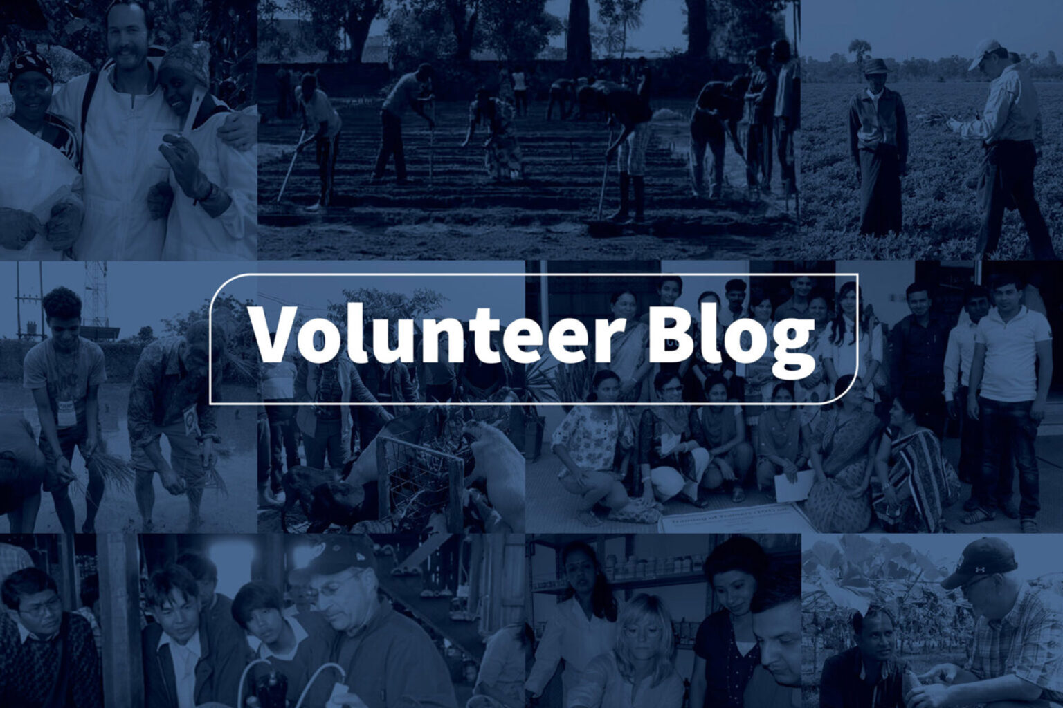 Volunteer Blog - Winrock International