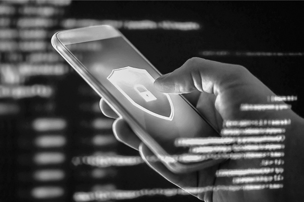 Careers - Winrock International