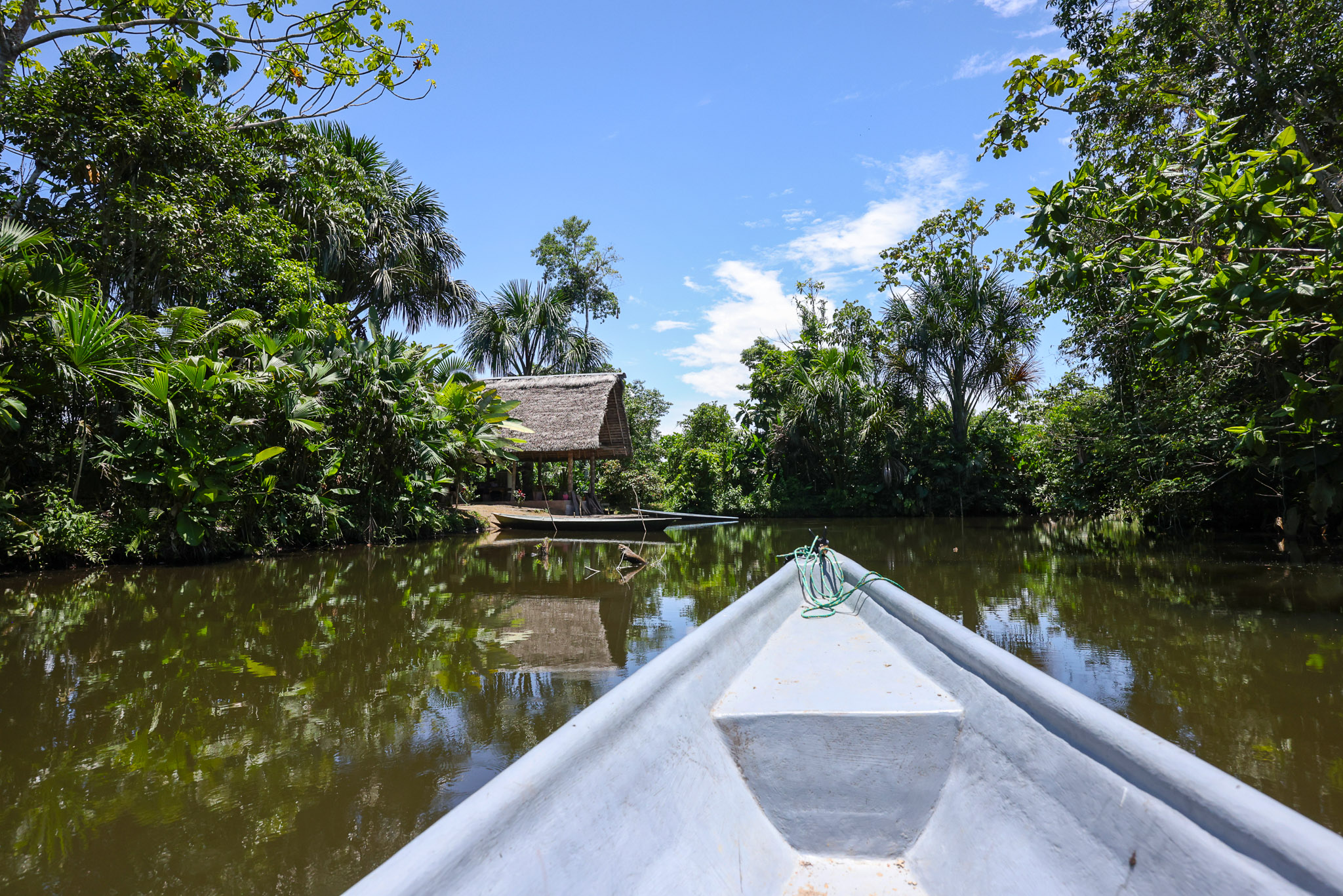 Progress to catalyze Jurisdictional REDD+ - Winrock International Progress to catalyze Jurisdictional REDD+ - Winrock International
