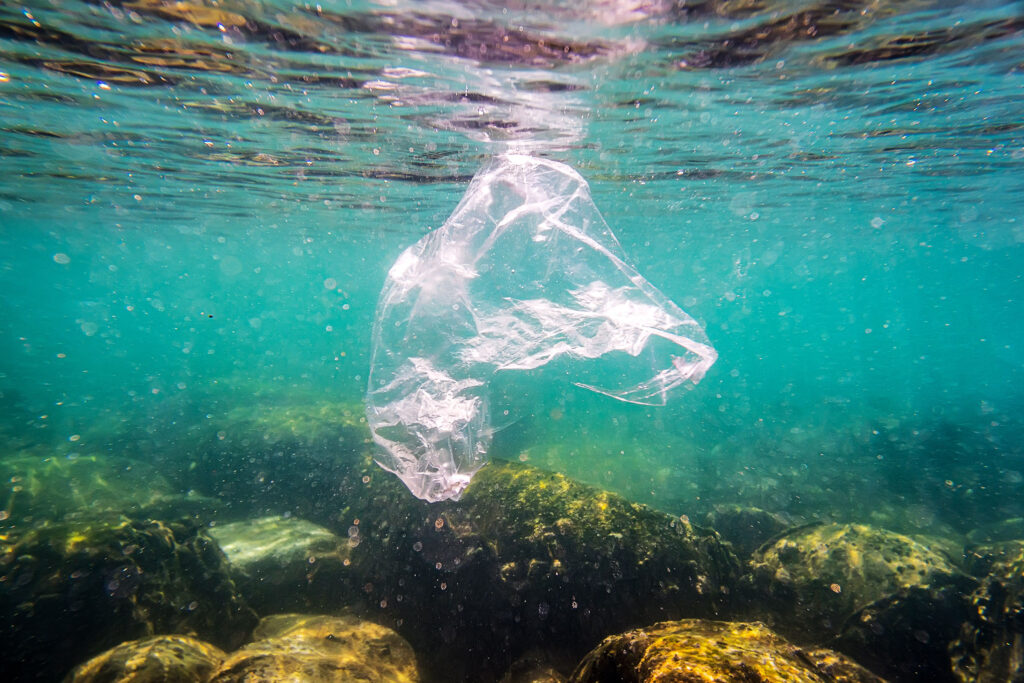 USAID/Dominican Republic Solid Waste Reduction Program - Winrock ...