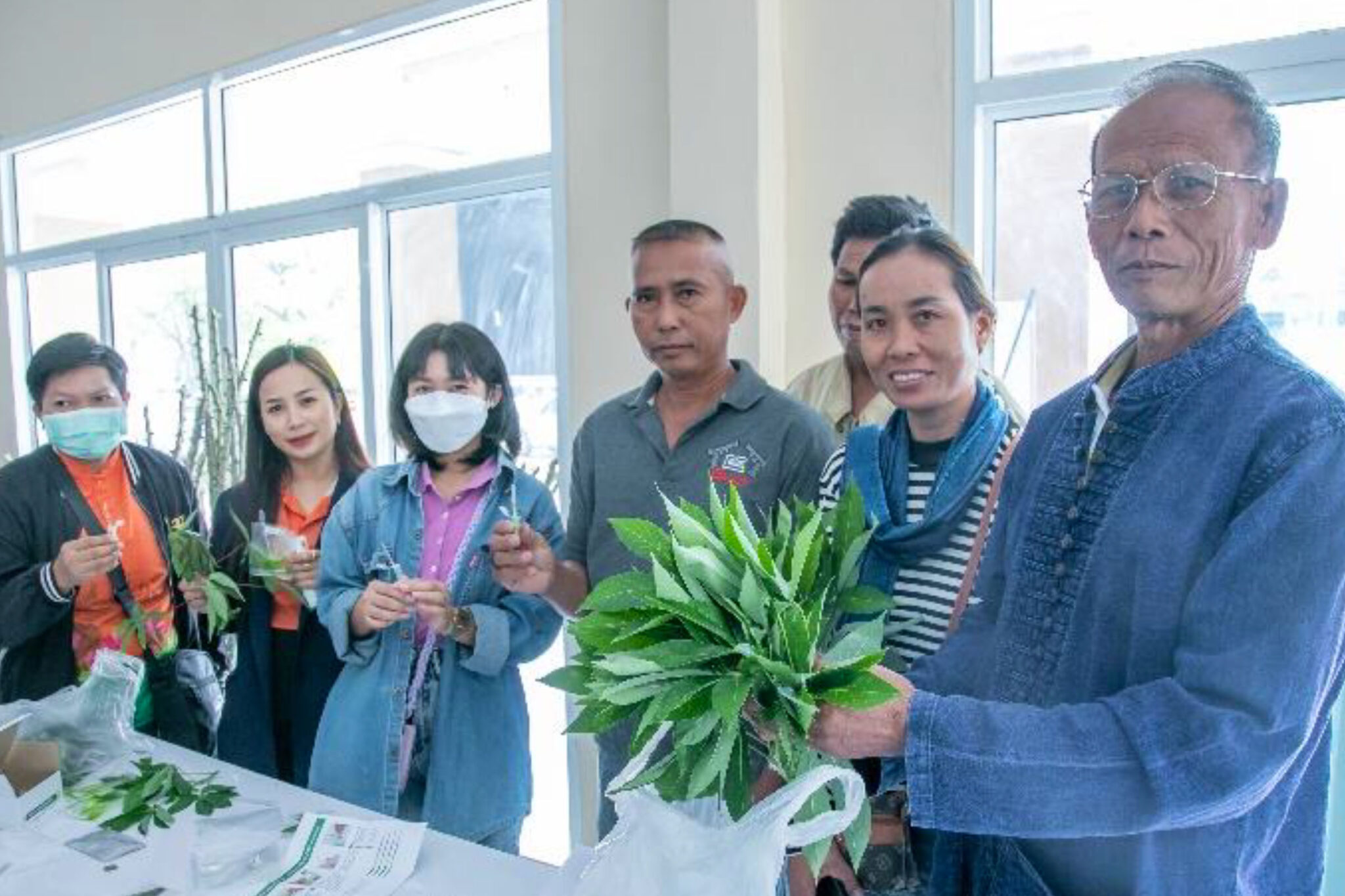 Thailand Regional Agriculture Innovation Network (RAIN) - Winrock ...