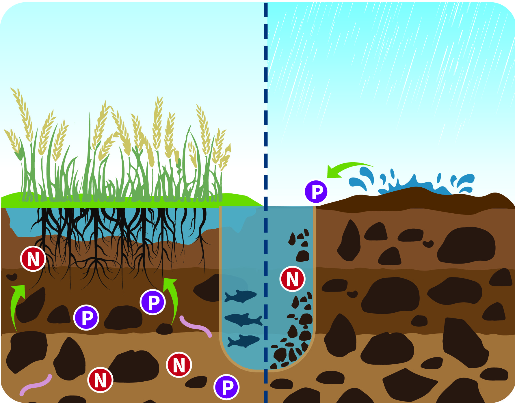 Winrock International - Home