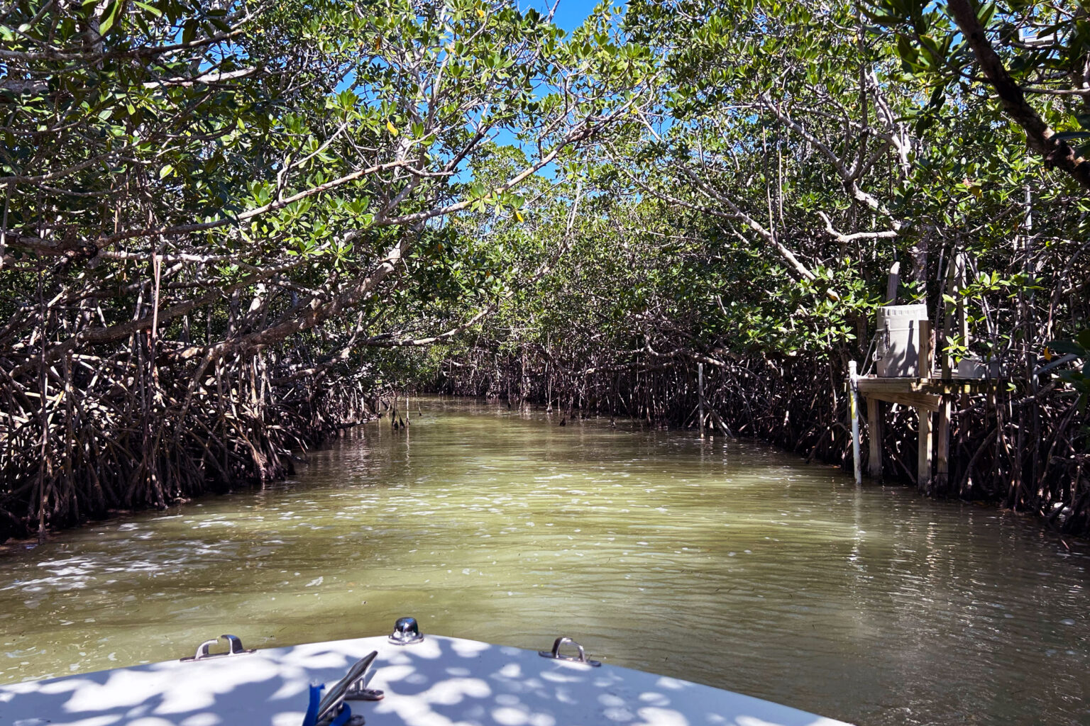 Everglades Carbon Assessment Project - Winrock International