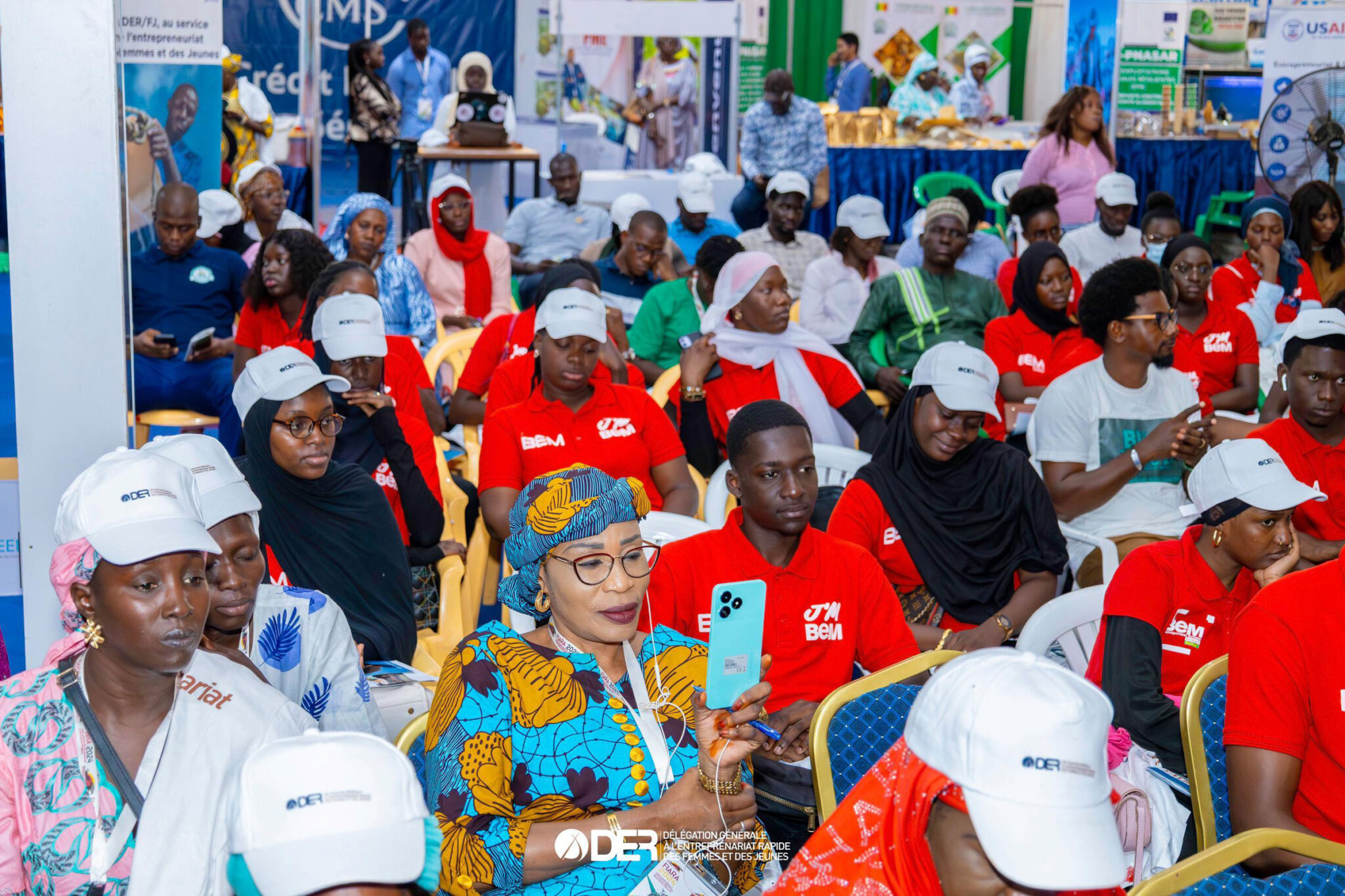 Supporting business acceleration and entrepreneurial ecosystem ...