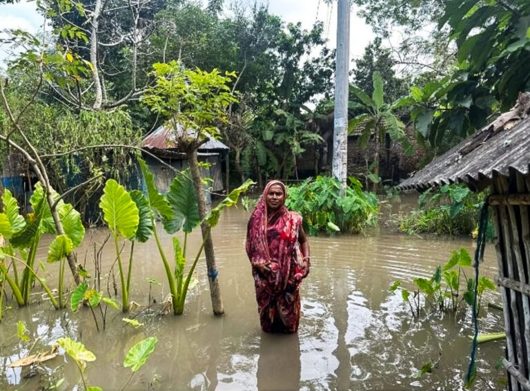 Resilient Farming: Satkhira Fish Farmers Embracing Sustainable ...
