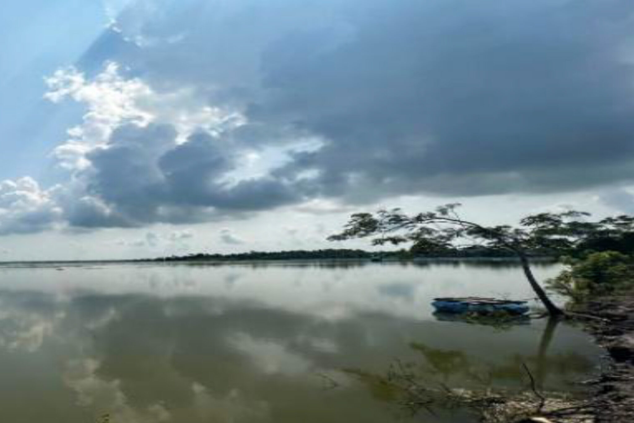 Resilient Farming: Satkhira Fish Farmers Embracing Sustainable ...