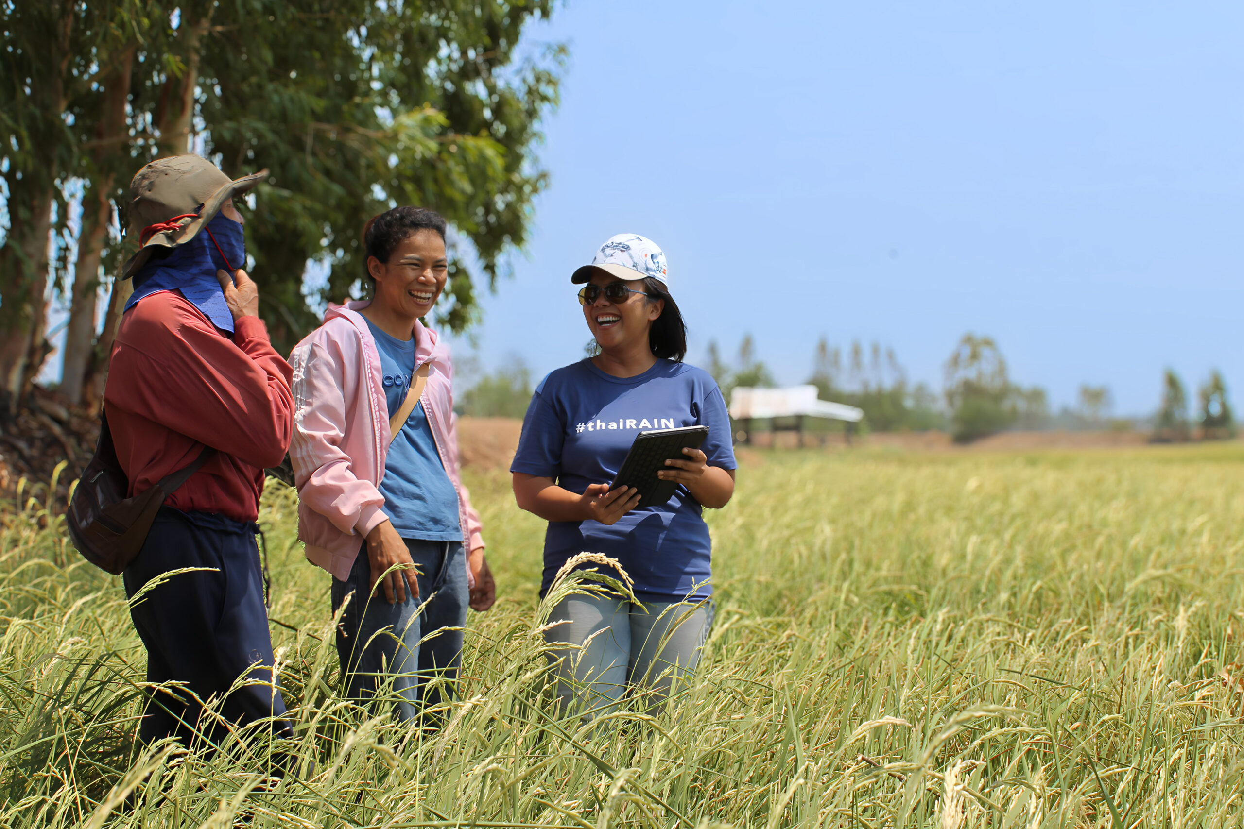 #thaiRAIN helps Southeast Asian farmers say no to burning - Winrock International