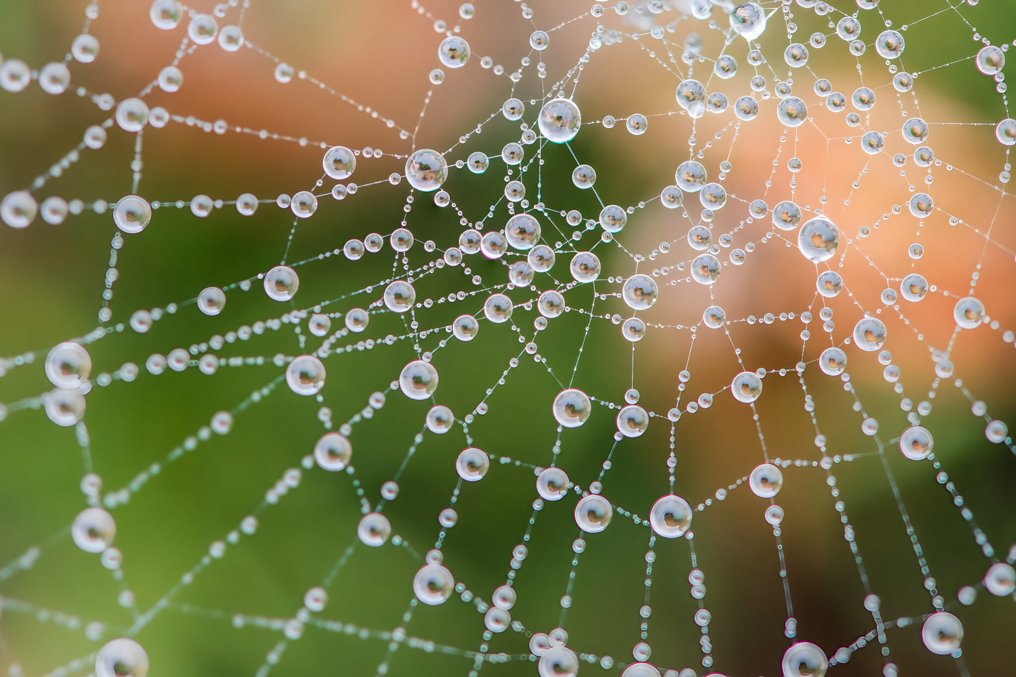 Winrock International - Home