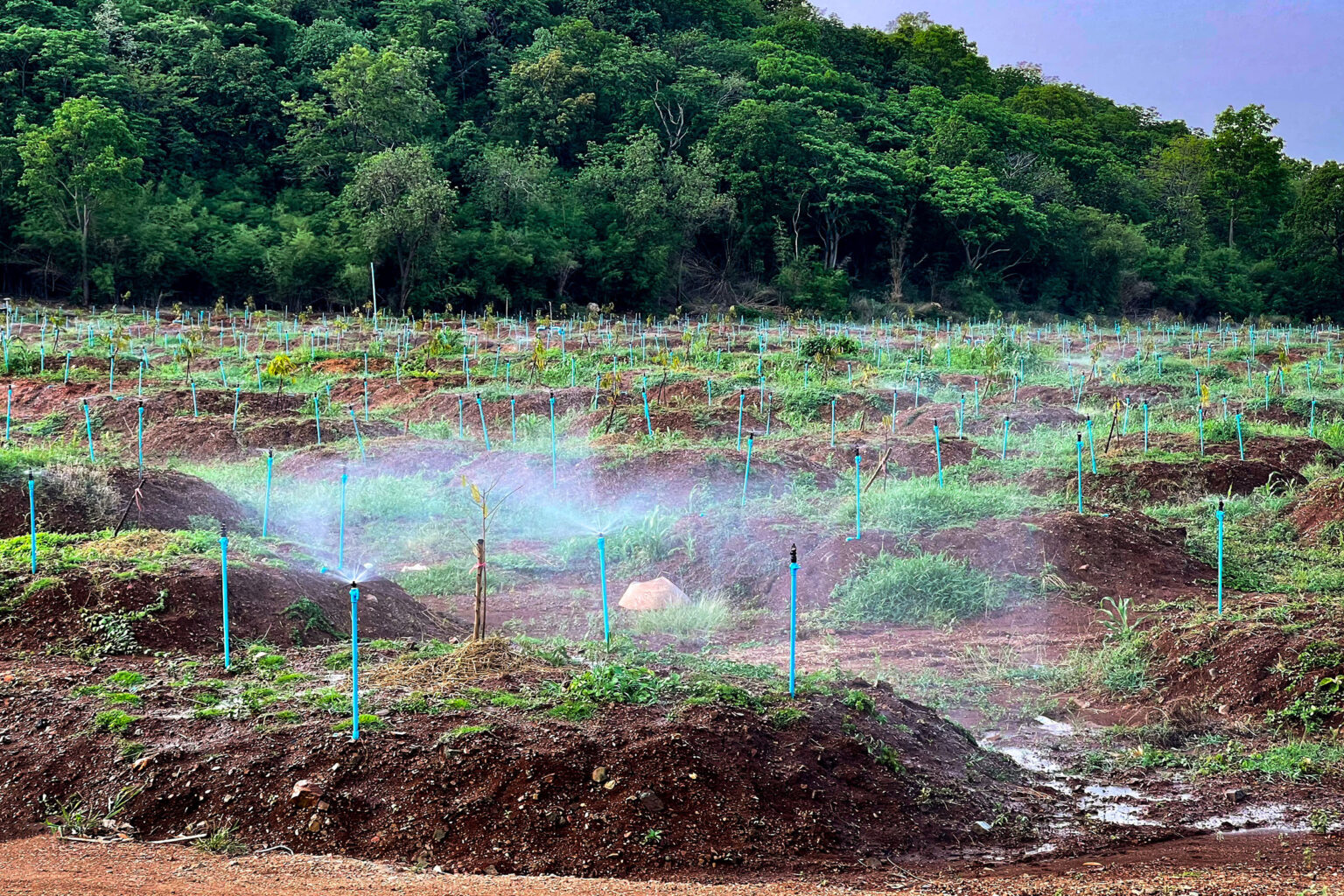 #thaiRAIN’s Innovation: IoT Irrigation System - Winrock International