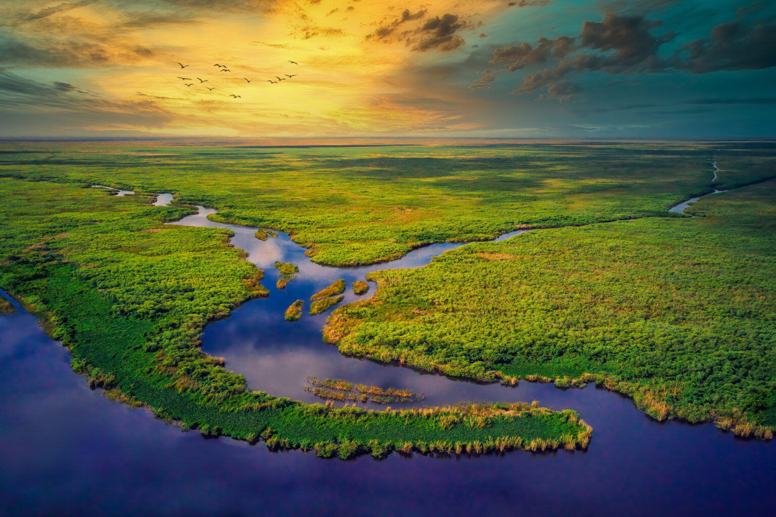 Winrock International - Home