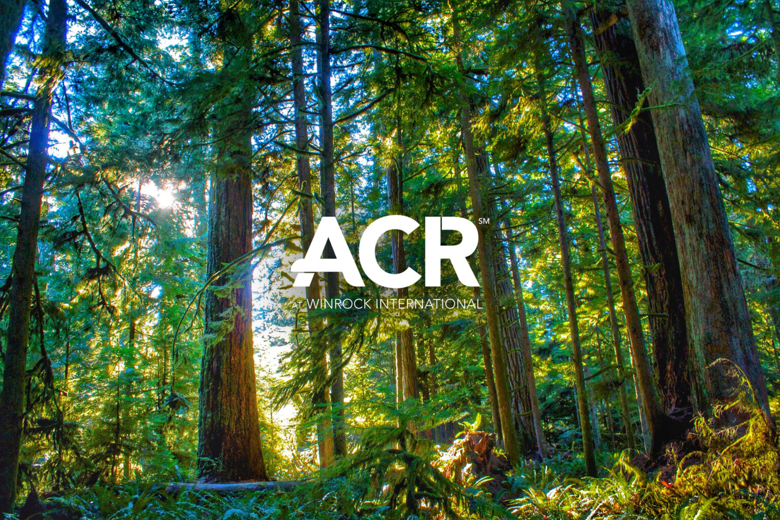 Winrock International - Home