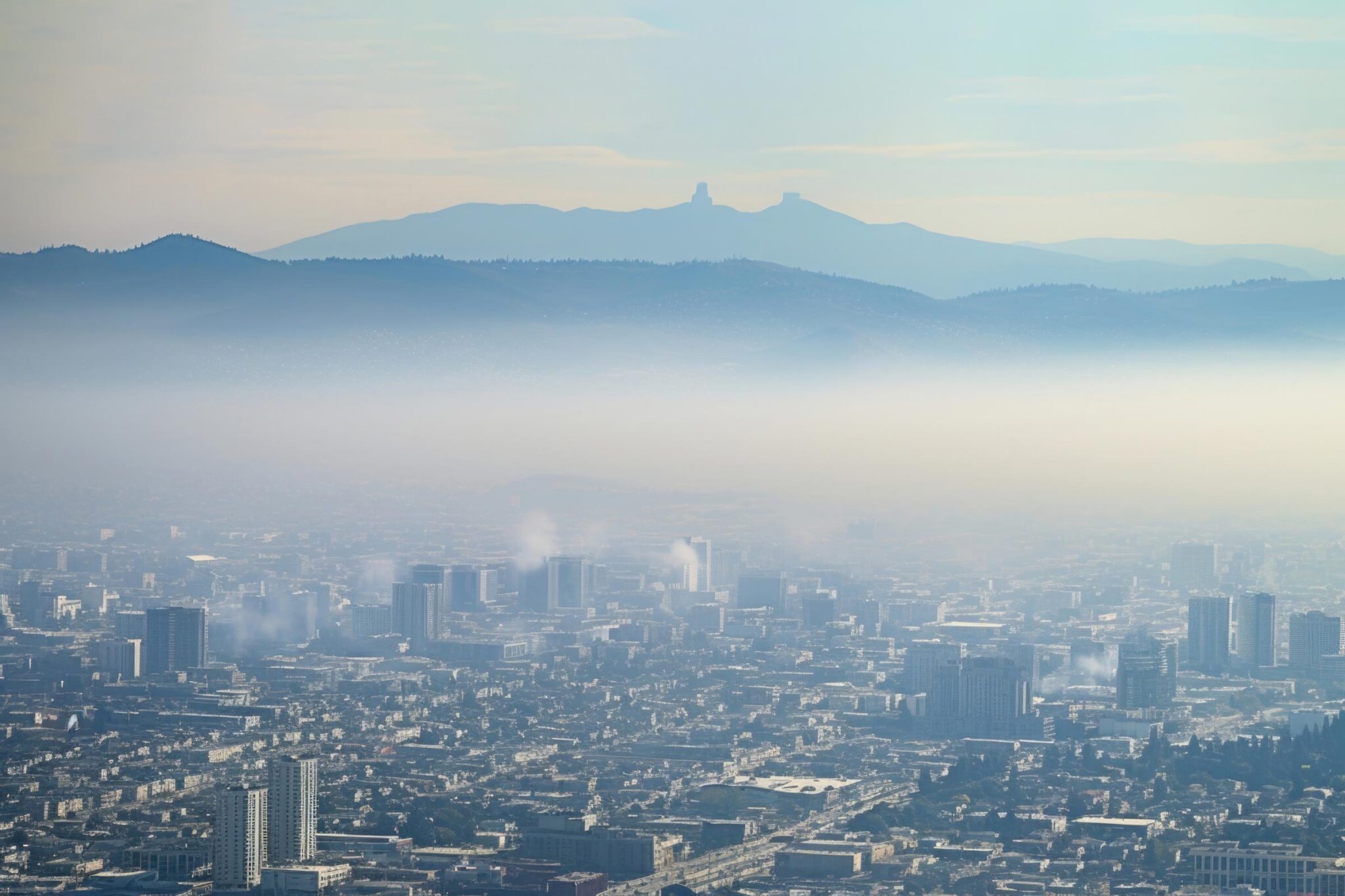 Winrock International - Home