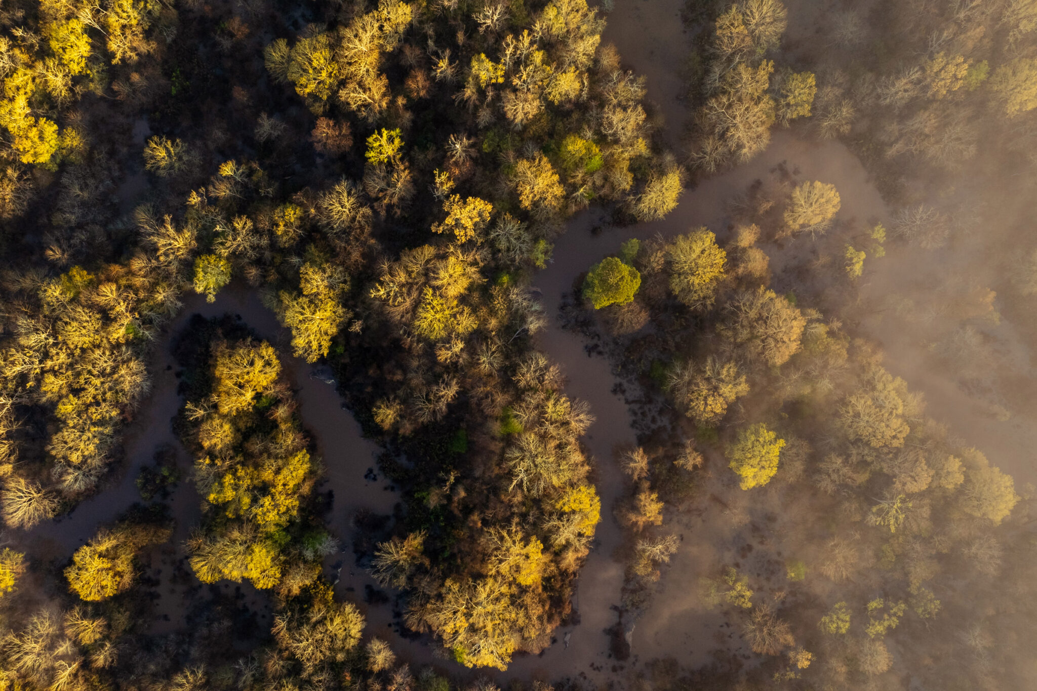 Winrock International - Home