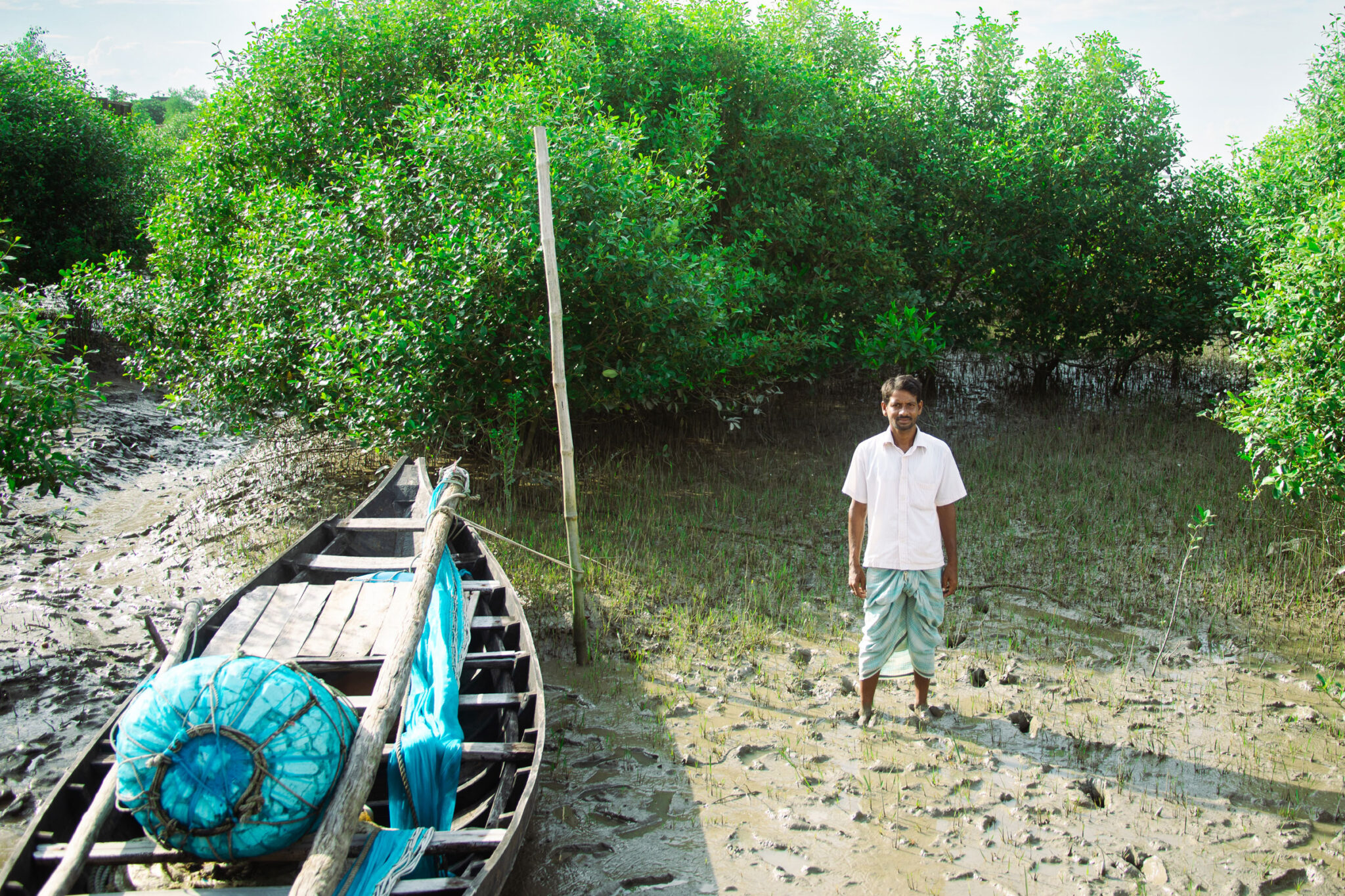 Celebrating mangroves — and the community action and science-based ...