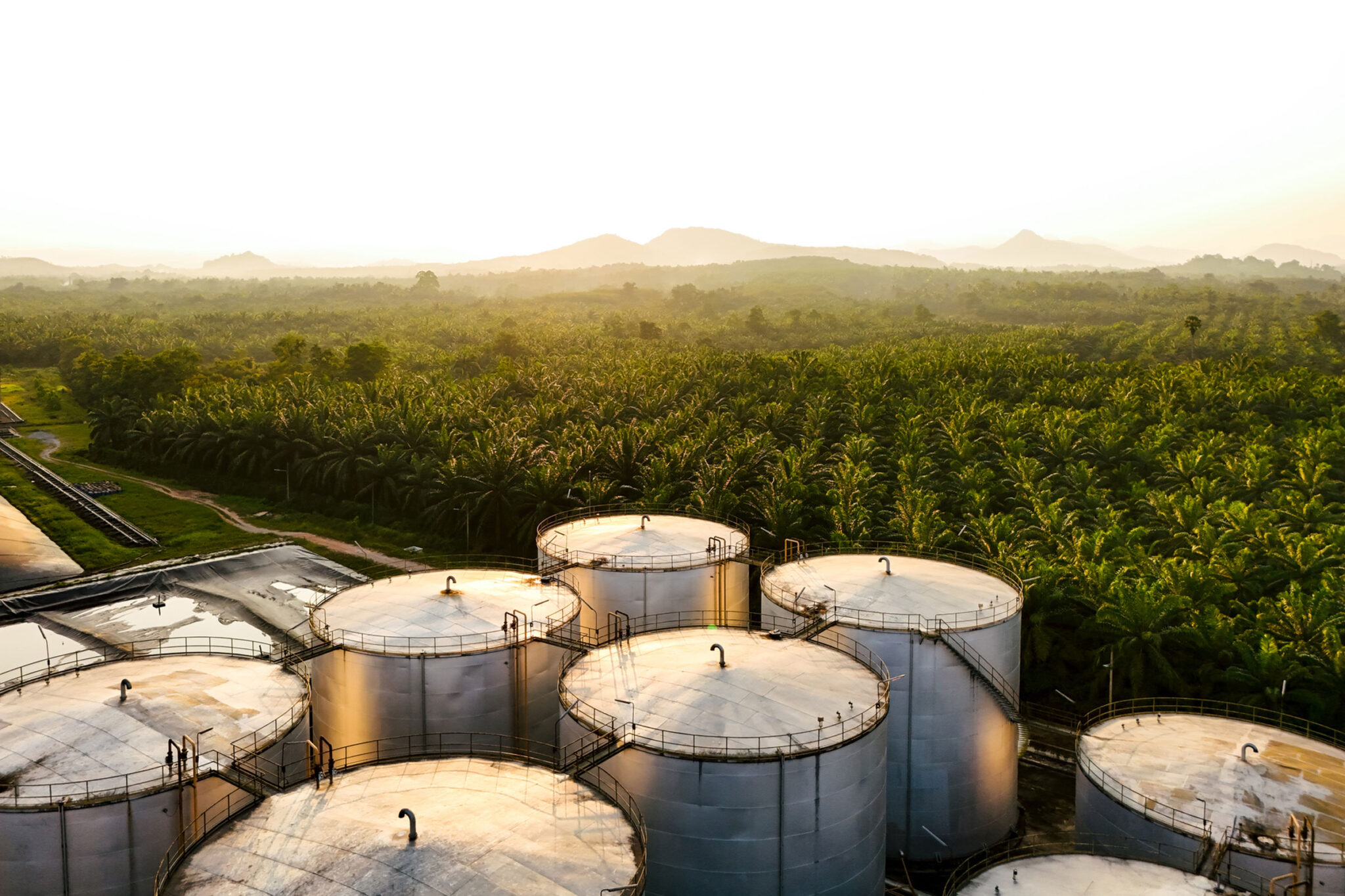 The Empty Fruit Bunch Composting Project - Winrock International