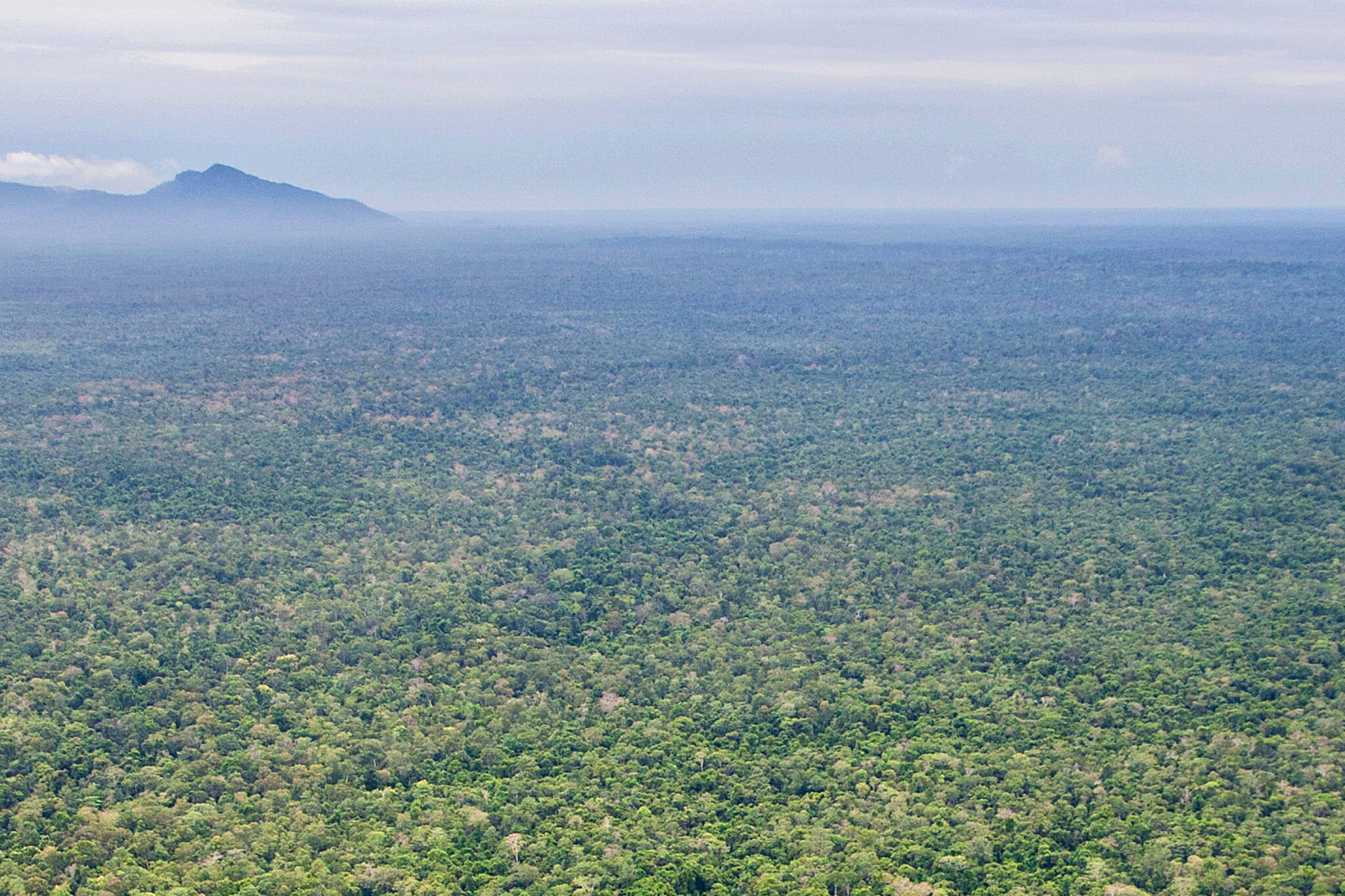 Winrock Tools - Winrock International