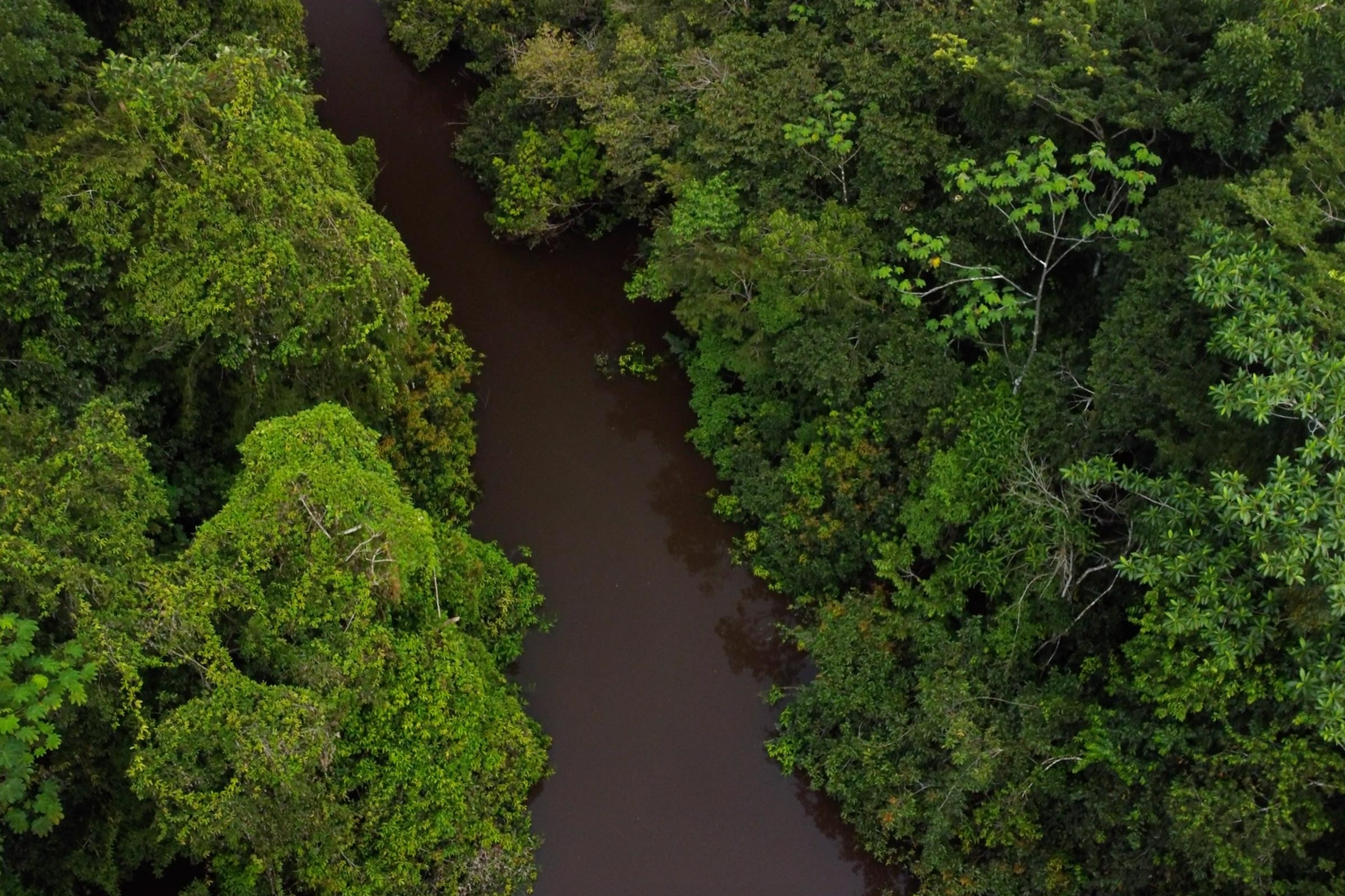 The Climate Q&A with Pedro Piffer… Building capacity for Jurisdictional ...